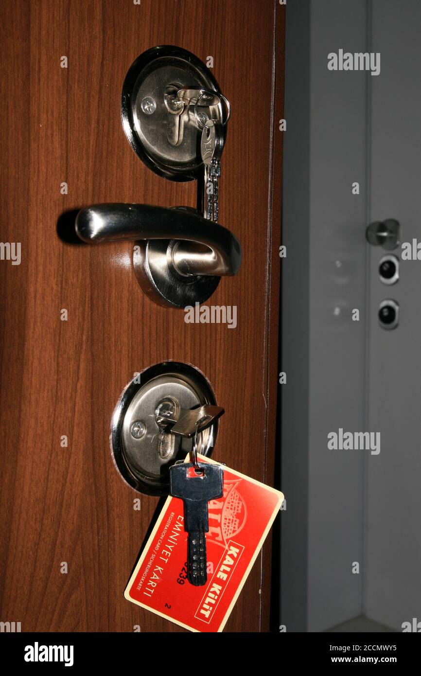 Hinge, shatterproof lock and steel door accessories. Decorative Steel ...