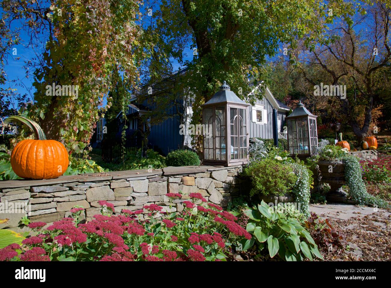 Back front horizontal hi-res stock photography and images - Alamy