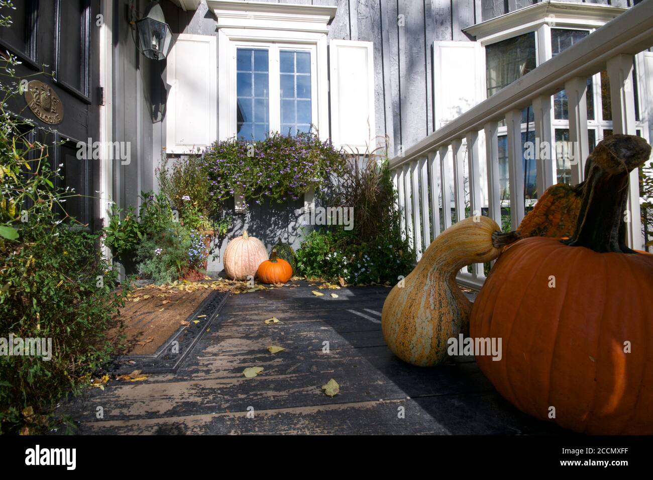 Pumpkin decoration in the front door of a Victorian-style house Stock ...