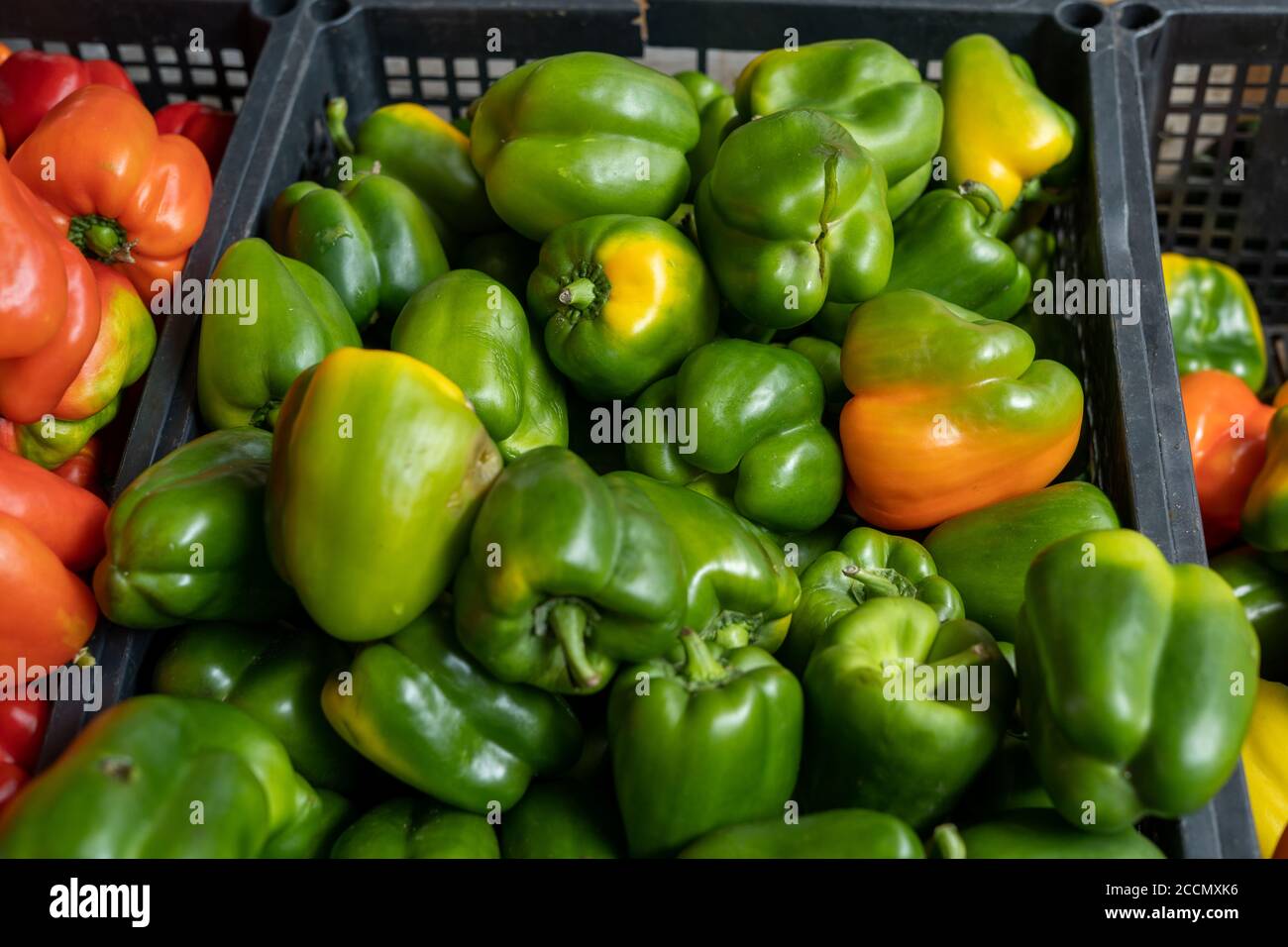 Closeup of fresh bell peppers in a black plastic basket in a market ...
