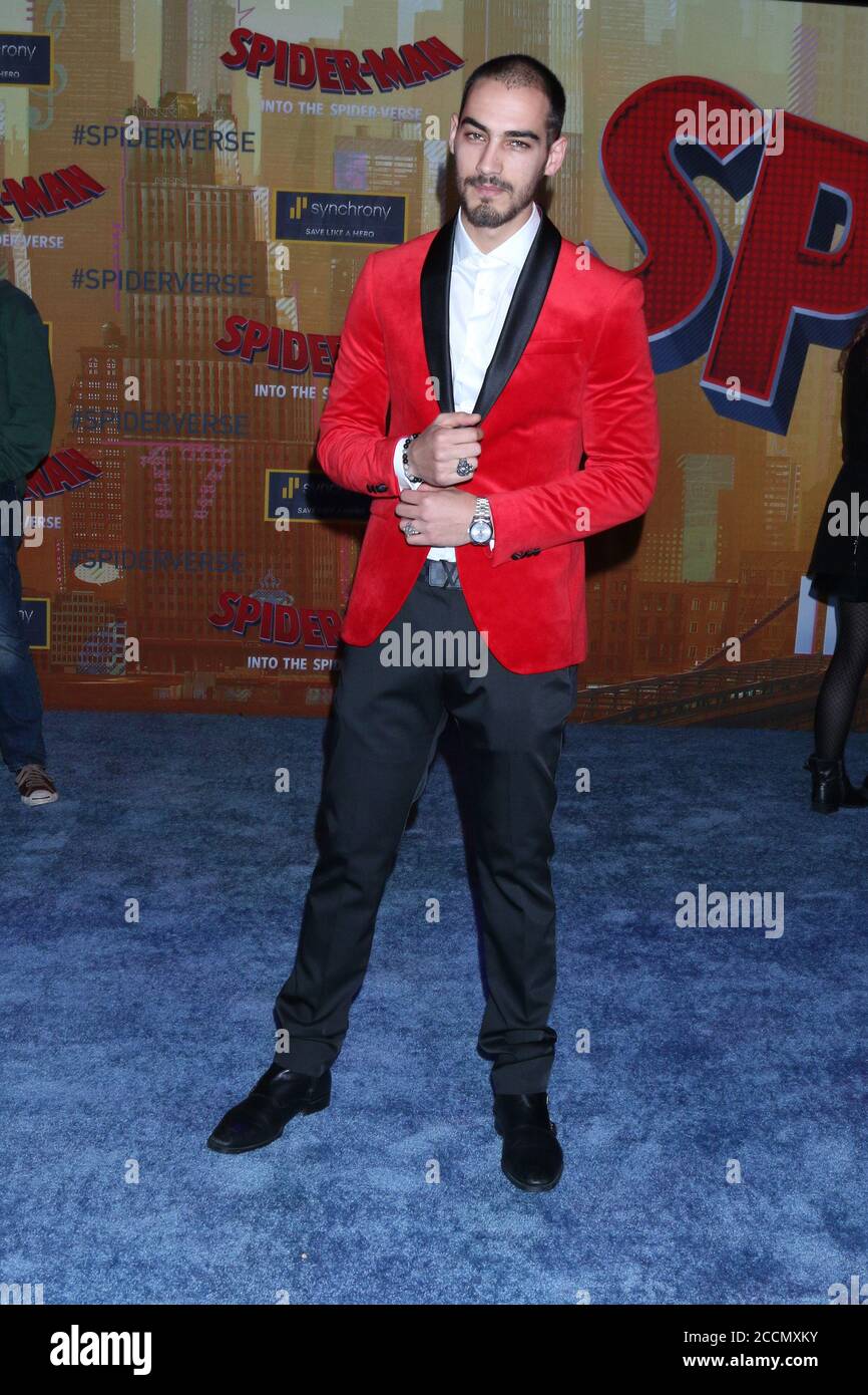 LOS ANGELES - DEC 1: Michel Duval at the Spider-Man: Into the Spider ...