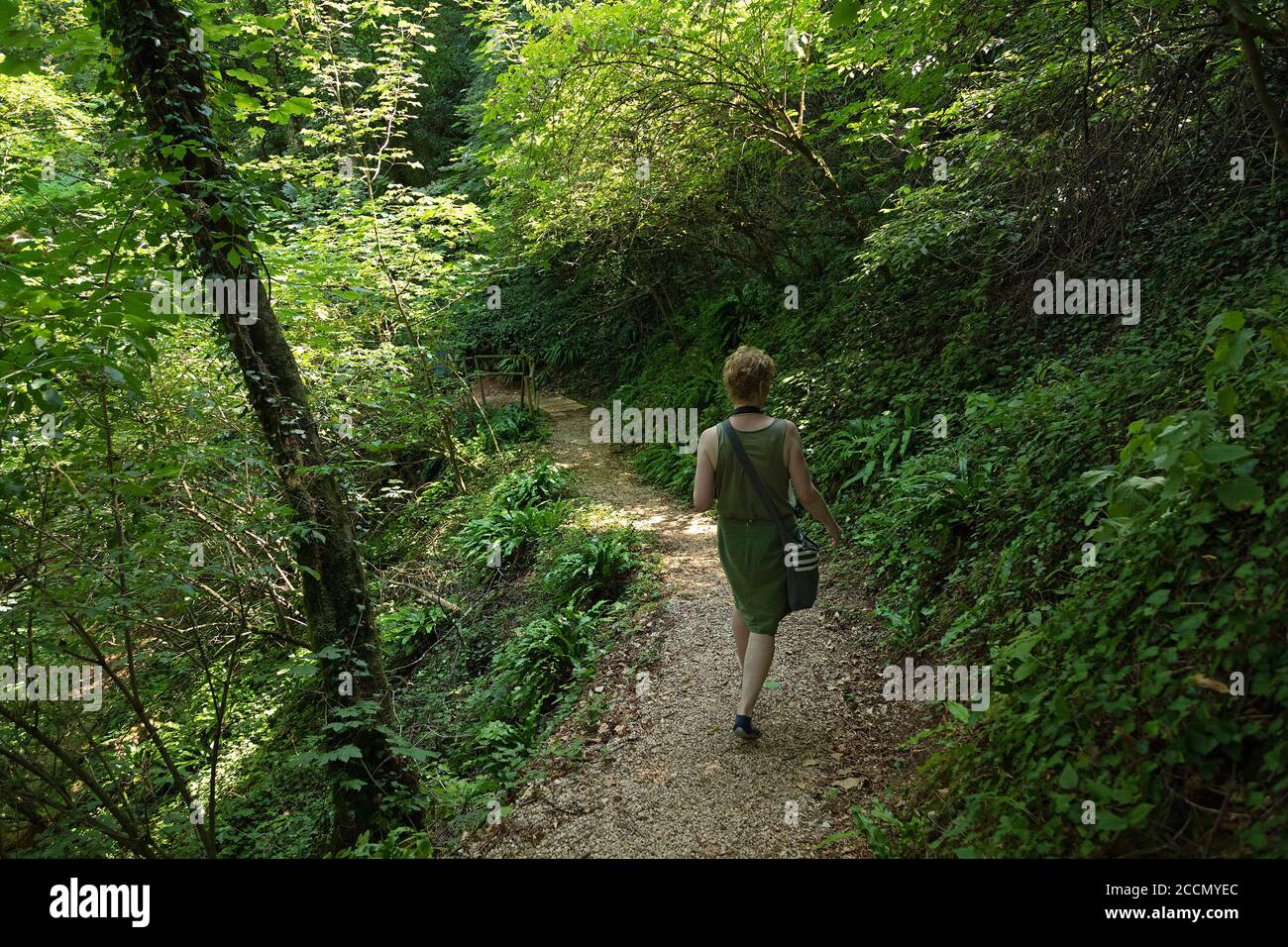 Woman track walking forest hi-res stock photography and images - Alamy