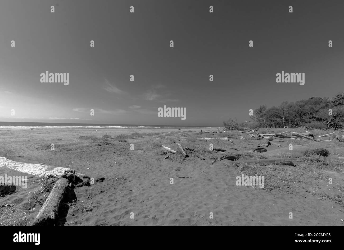 Pacific Ocean Beach at Cape Disappointment State Park Stock Photo - Alamy