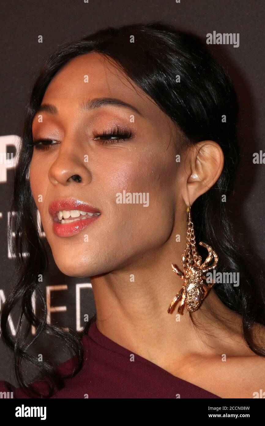 LOS ANGELES - OCT 25: MJ Rodriguez at The Paley Honors: A Gala Tribute ...