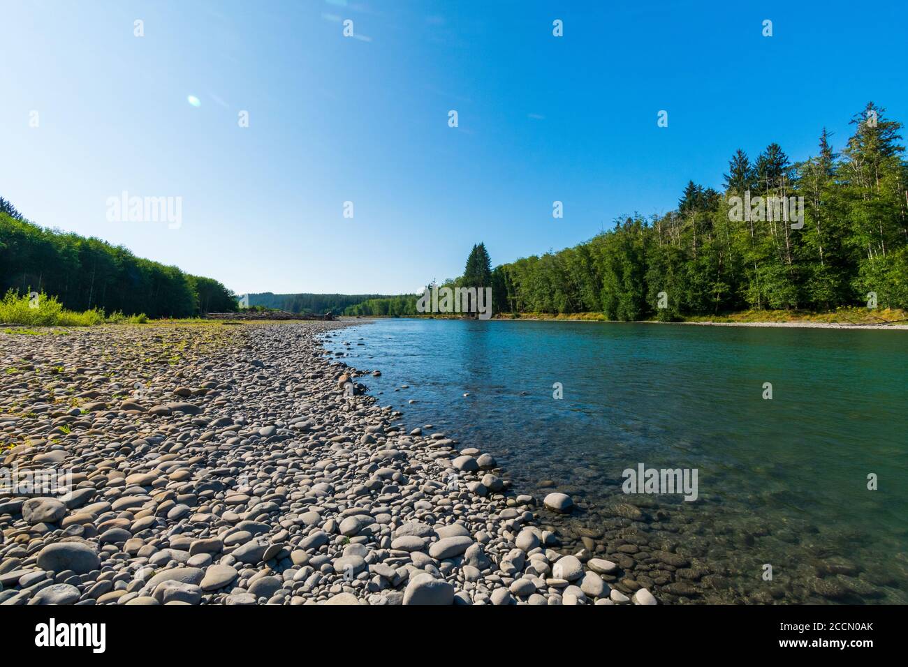 Queets river rain forest hi-res stock photography and images - Alamy