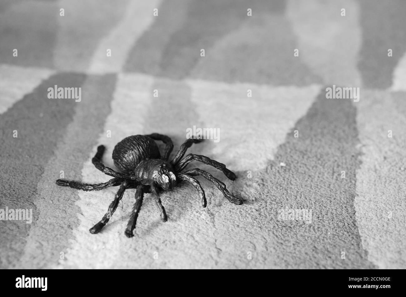 Child with spider Black and White Stock Photos & Images - Alamy
