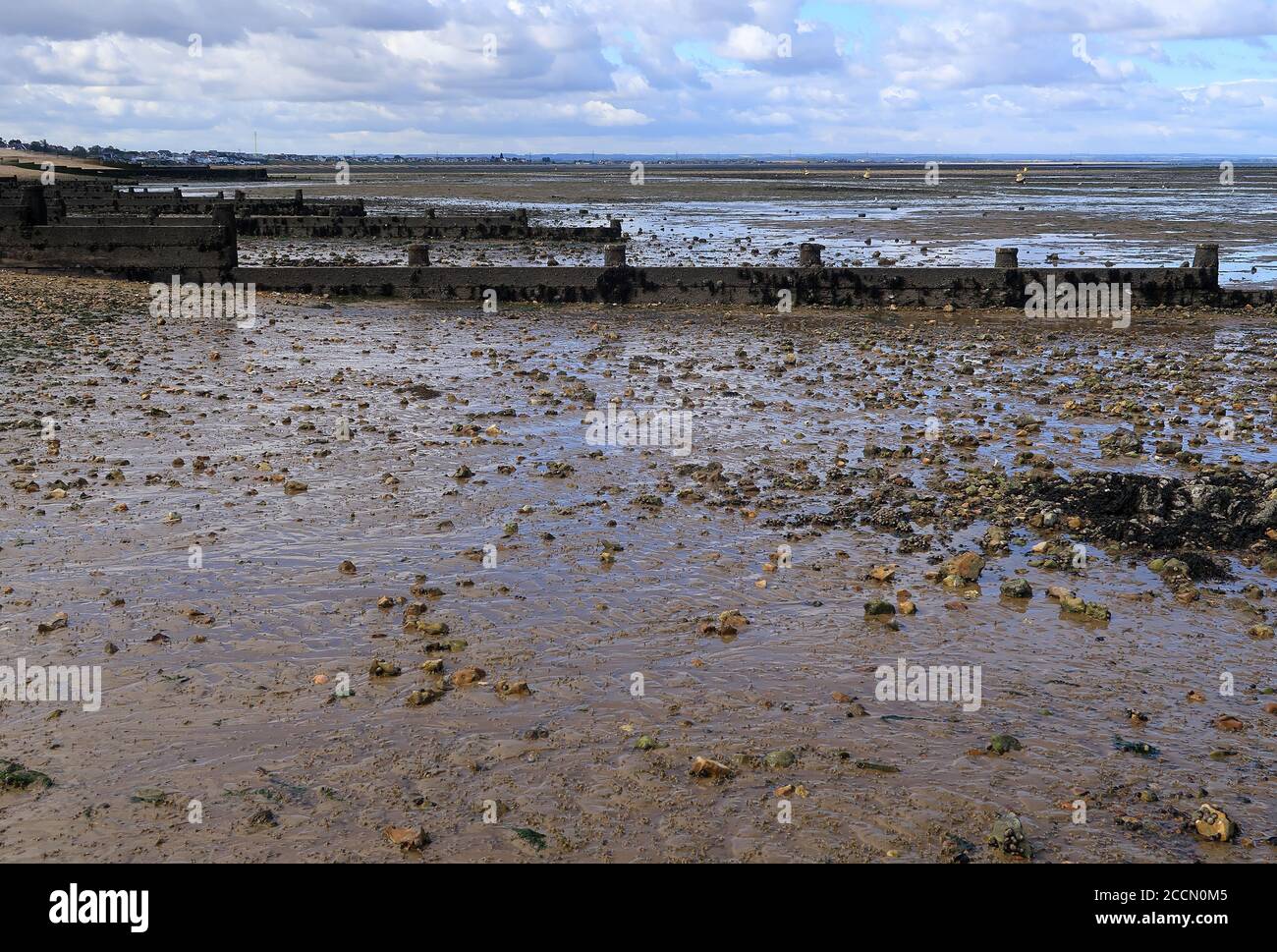 A landscape scene of the wet pebbled beach at Whitstable when the tide ...