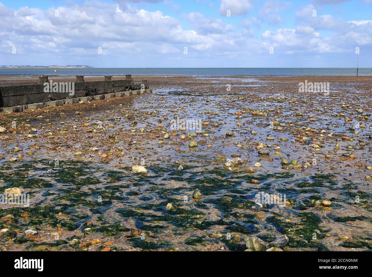 Seaweed and rock pools on the pebbled beach at Whitstable Stock Photo ...