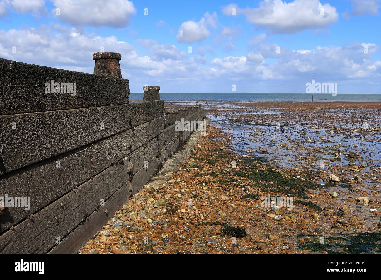 Whitstable rock oyster hi-res stock photography and images - Alamy