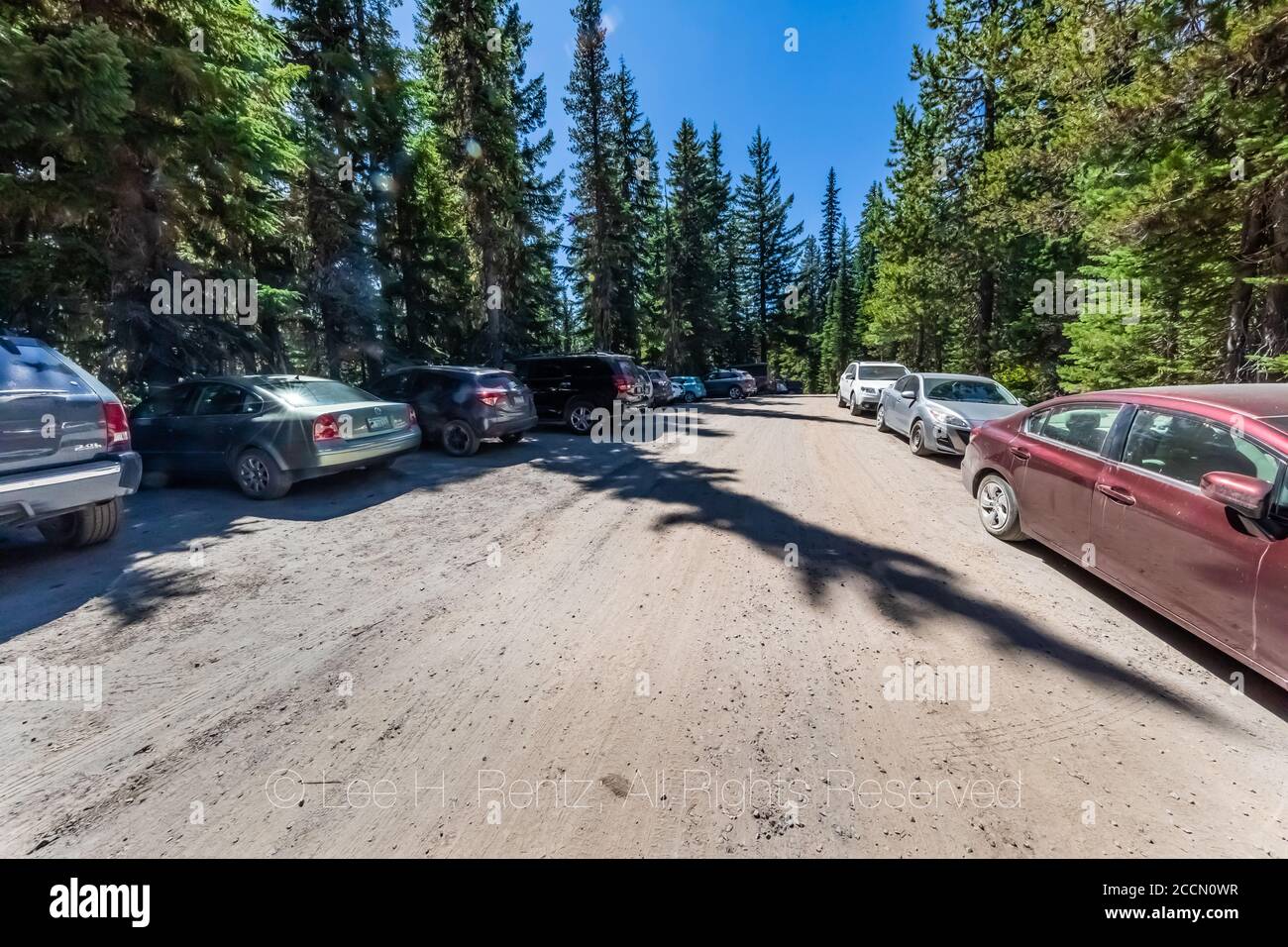 Busy Snowgrass Trail trailhead parking area for trail into the Goat ...