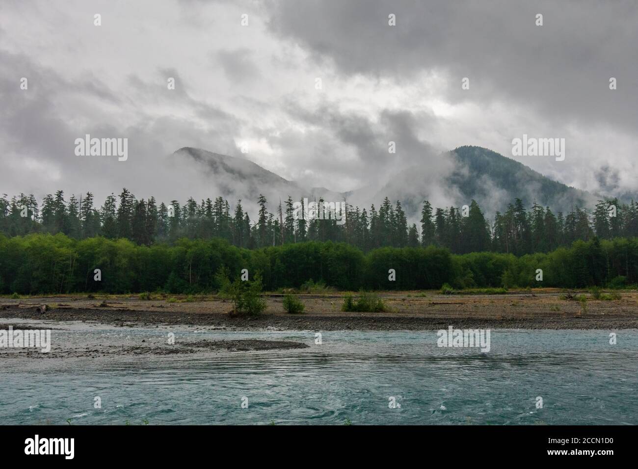 Hoh river at hoh rain forest in washington hi-res stock photography and ...