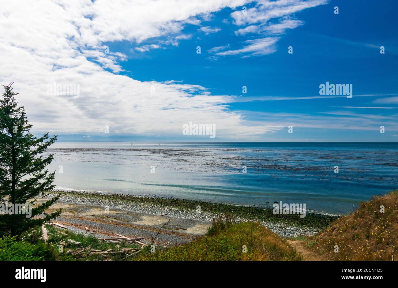 Fort Ebey State Park High Resolution Stock Photography and Images - Alamy