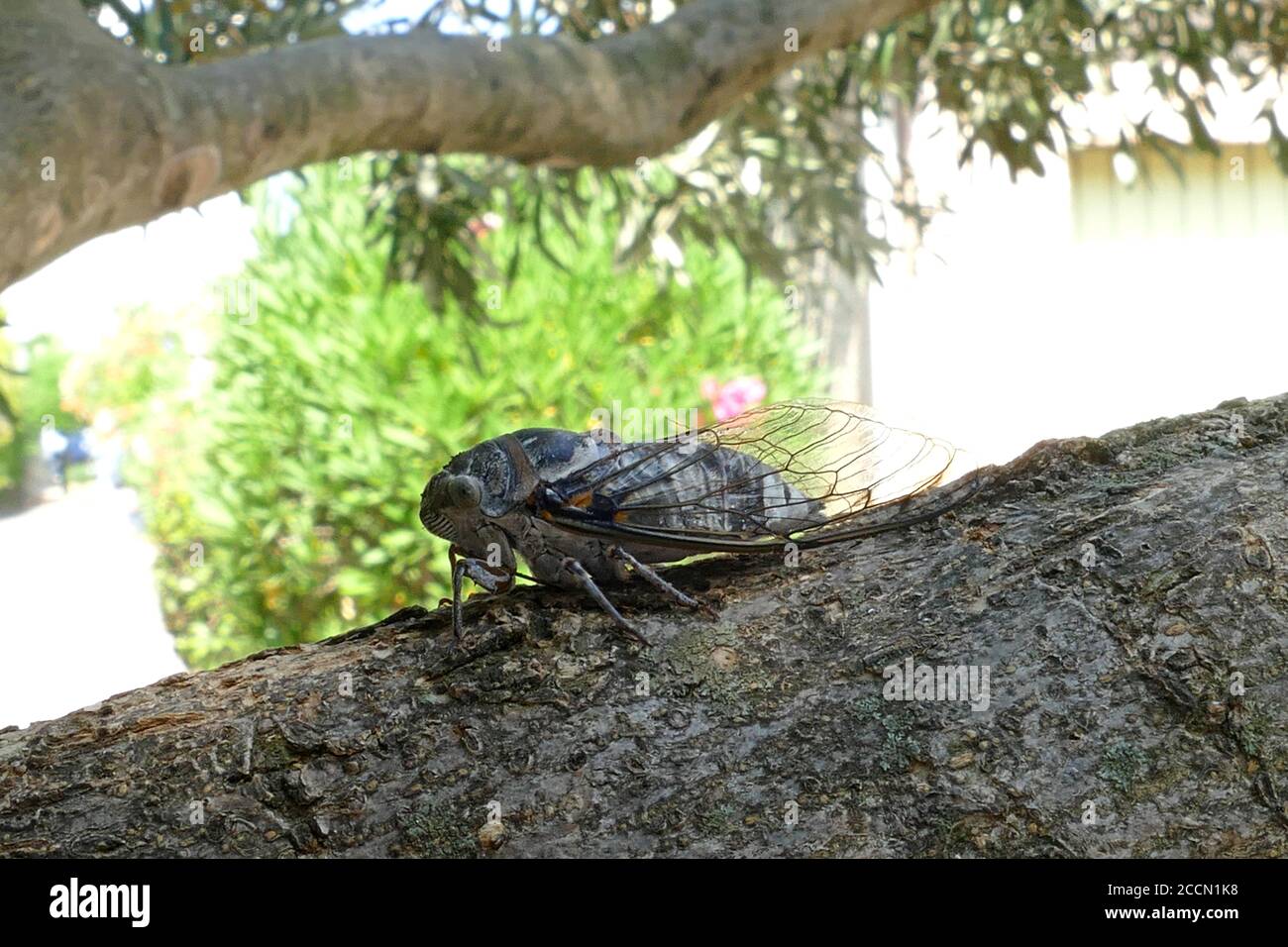 Mediterranean provence france sud hi-res stock photography and images ...