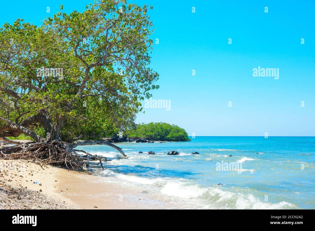 Beautiful beach at a bay with blue water and lush trees on a sunny day ...