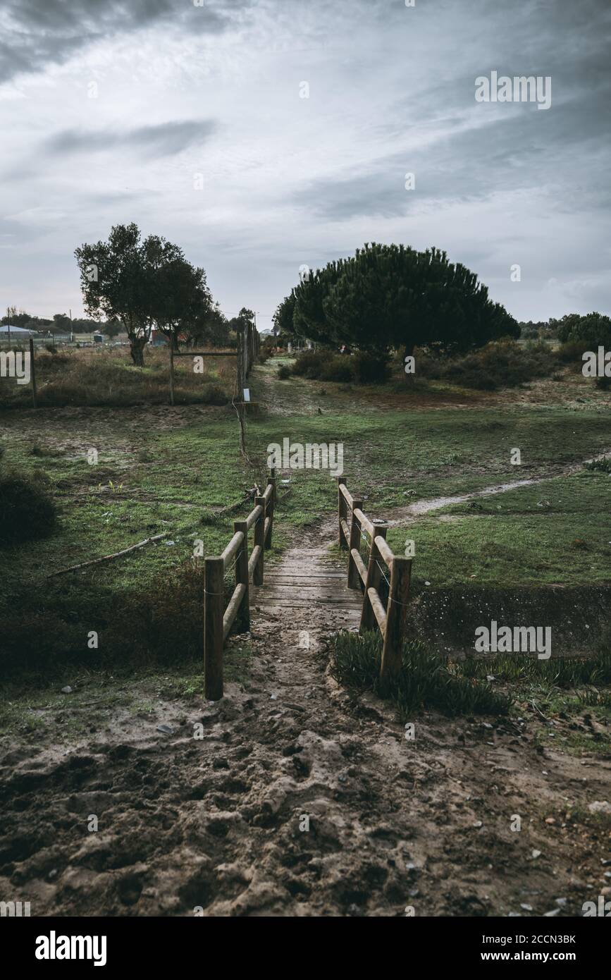 Vertical wide-angle evening landscape with a small wooden bridge over a ...