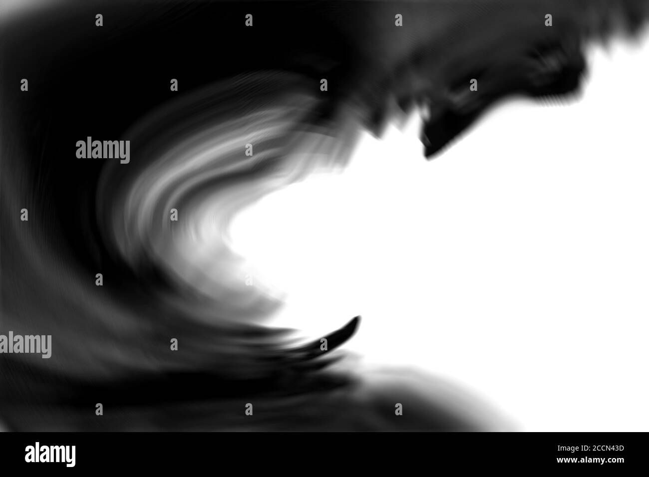 Beautiful wave of shadow and light, black and white design, empty space ...