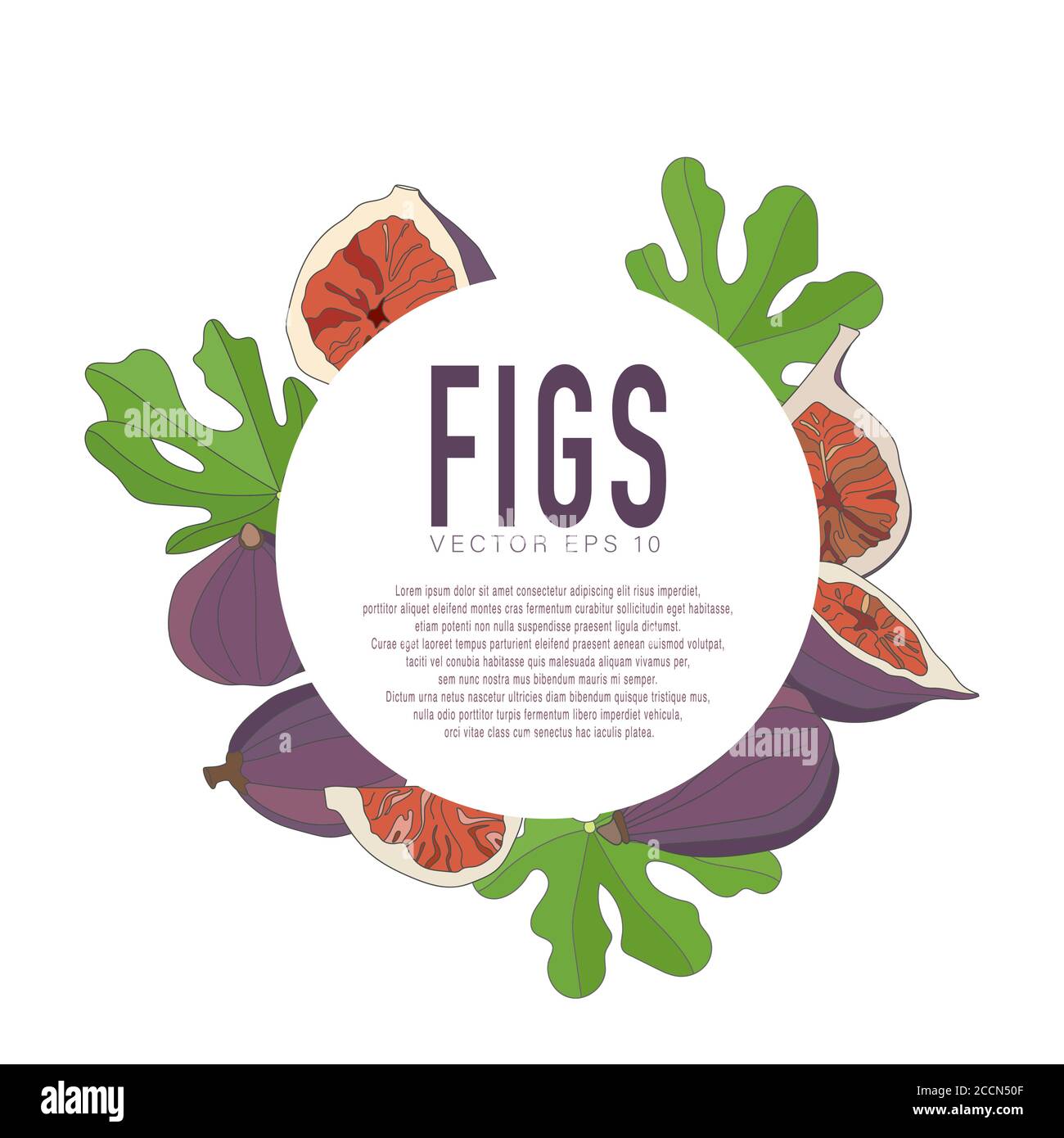 Figs in hand Stock Vector Images - Alamy
