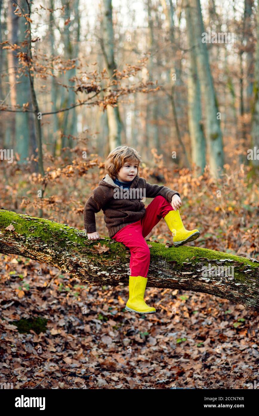 Kids autumn leaves falling hi-res stock photography and images - Alamy