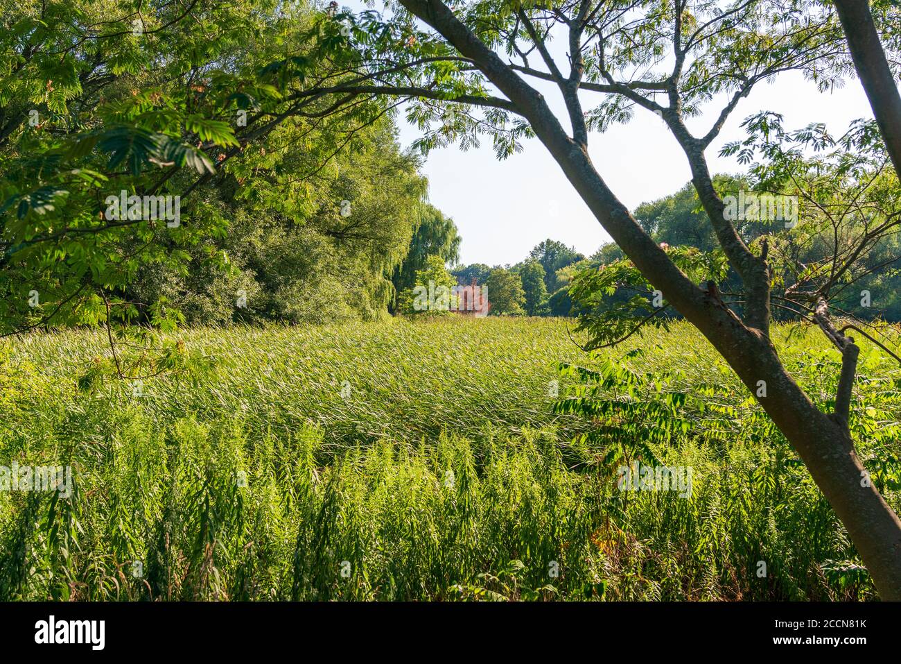 Frontier Park nature scenes in Erie, Pennsylvania Stock Photo - Alamy