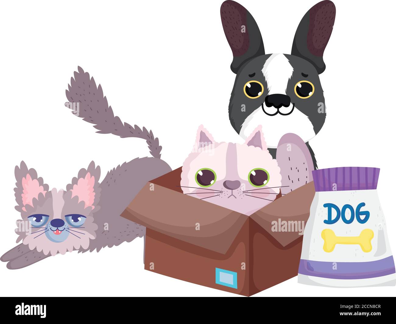 pet shop, little cats and dog with box and food pack animal domestic ...