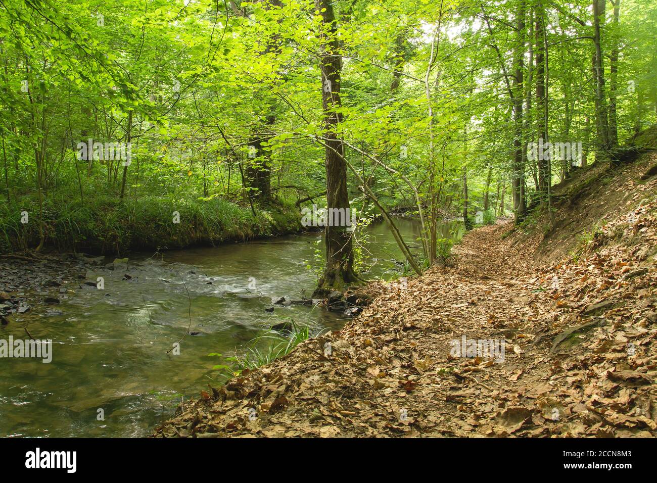 Planet footpath hi-res stock photography and images - Alamy