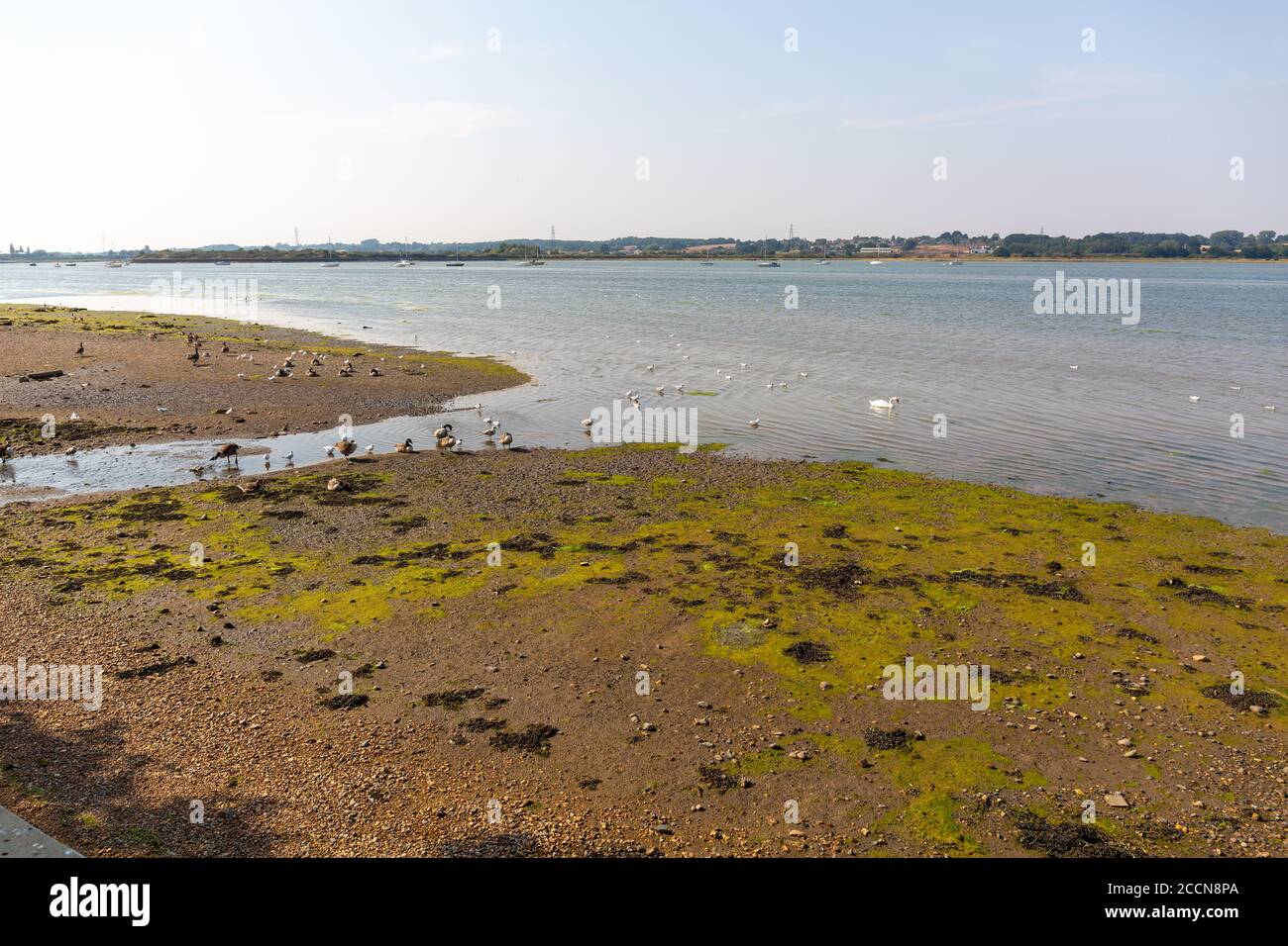 Mistley and Manningtree, Essex Stock Photo - Alamy