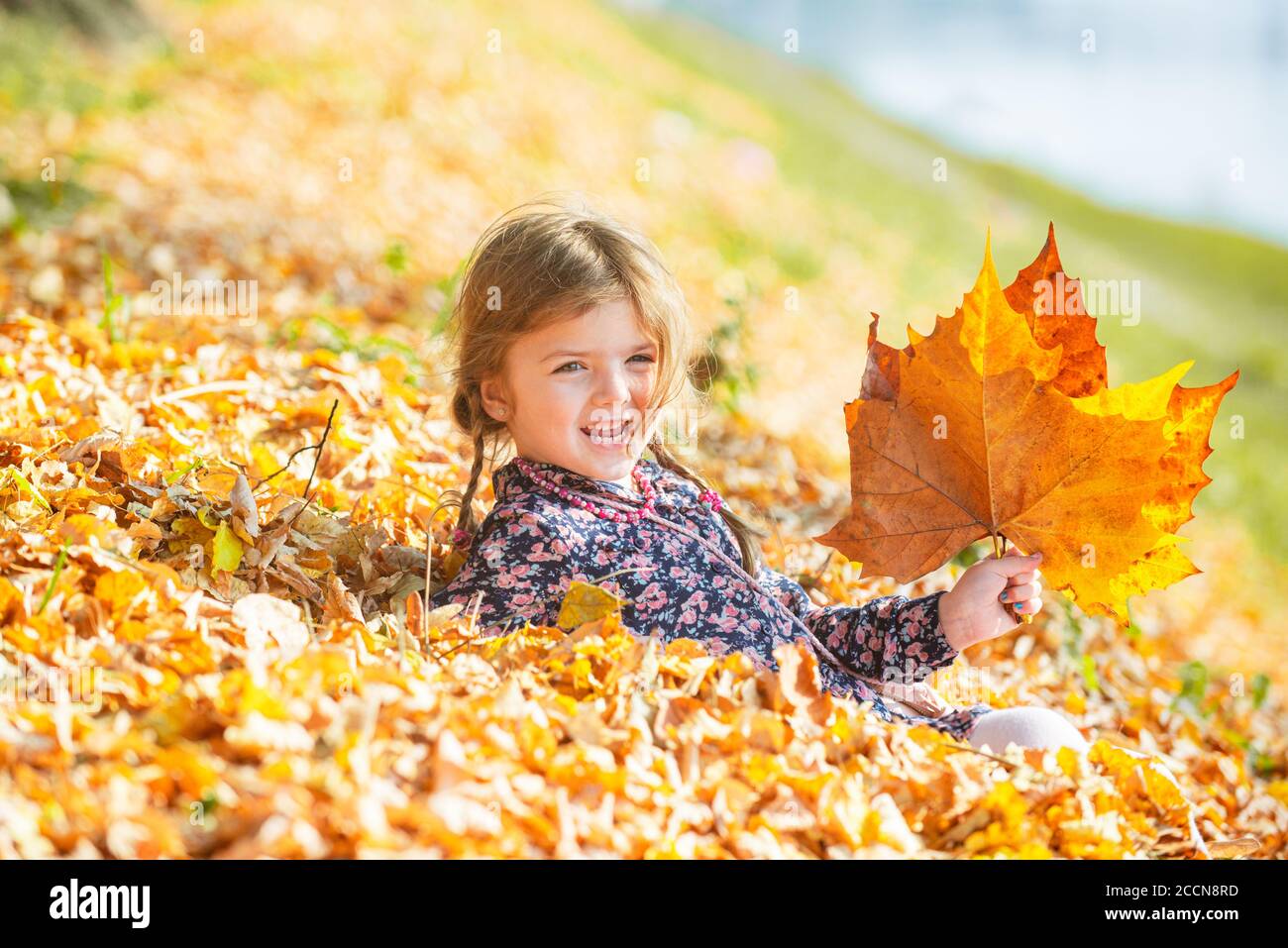 Happy autumn kid having fun with leaves outdoor in park. Falling leaves ...