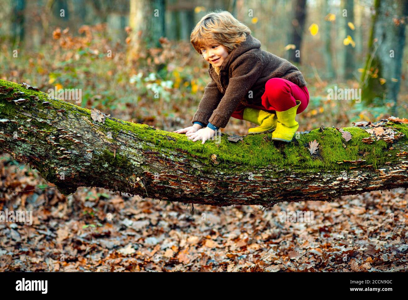 Boy Climbing Tree High Resolution Stock Photography and Images - Alamy