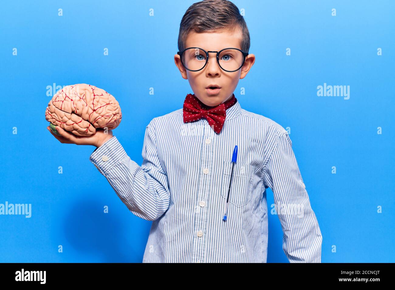 Cute blond kid wearing nerd bow tie and glasses holding brain scared ...