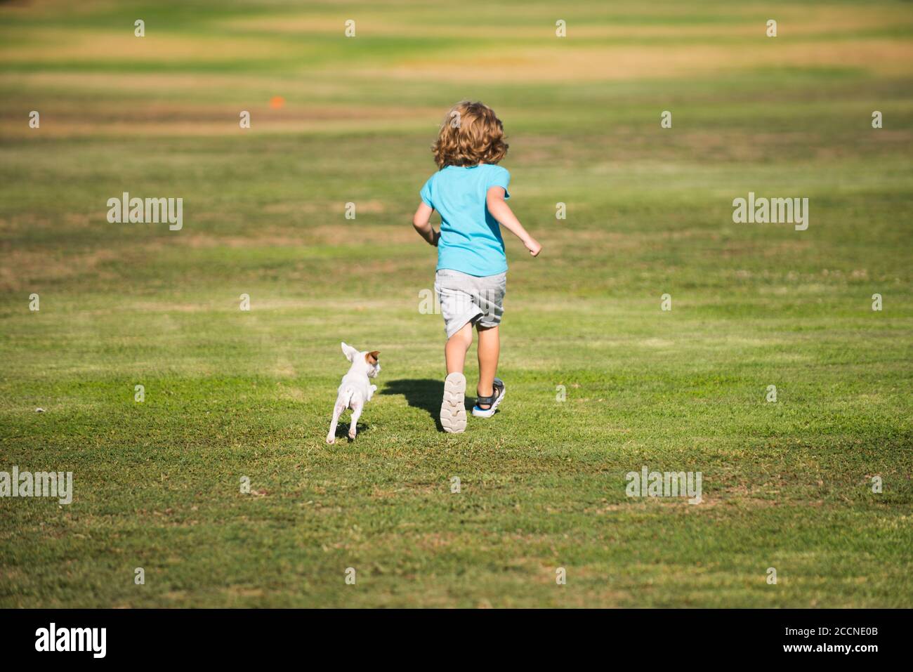 Happy child run with a dog outdoor. running dog Stock Photo - Alamy