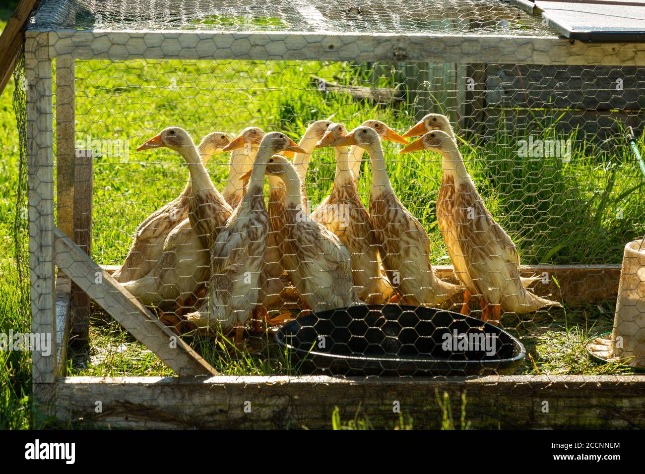 Indiana farm country hi-res stock photography and images - Alamy