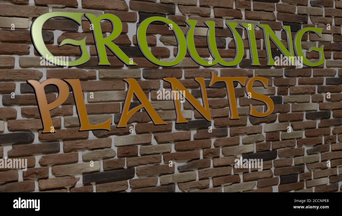 growing plants text on textured wall, 3D illustration Stock Photo - Alamy