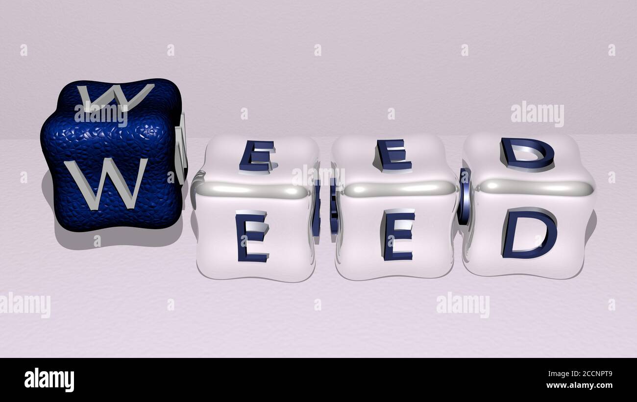 combination of WEED built by cubic letters from the top perspective ...