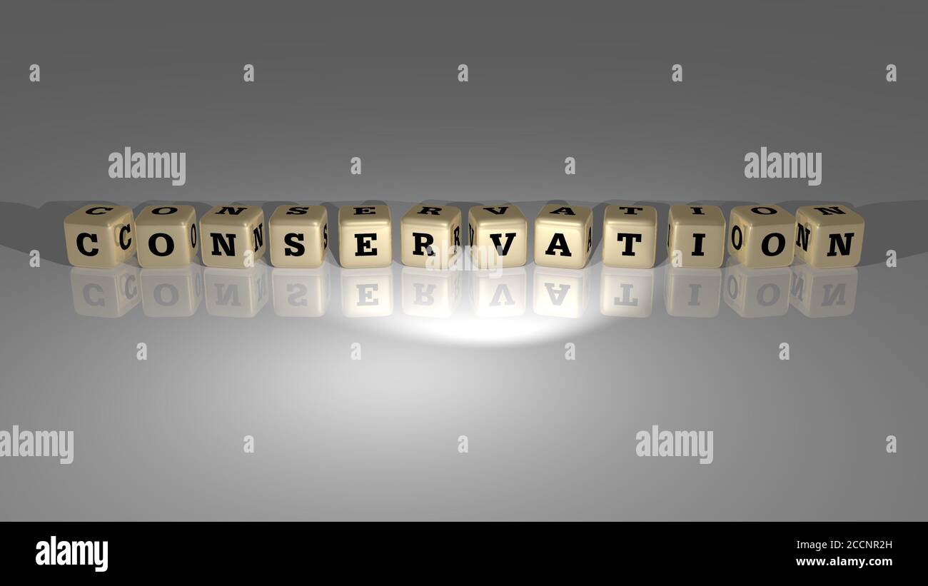 CONSERVATION text of cubic dice letters on the floor and 3D icon on the ...