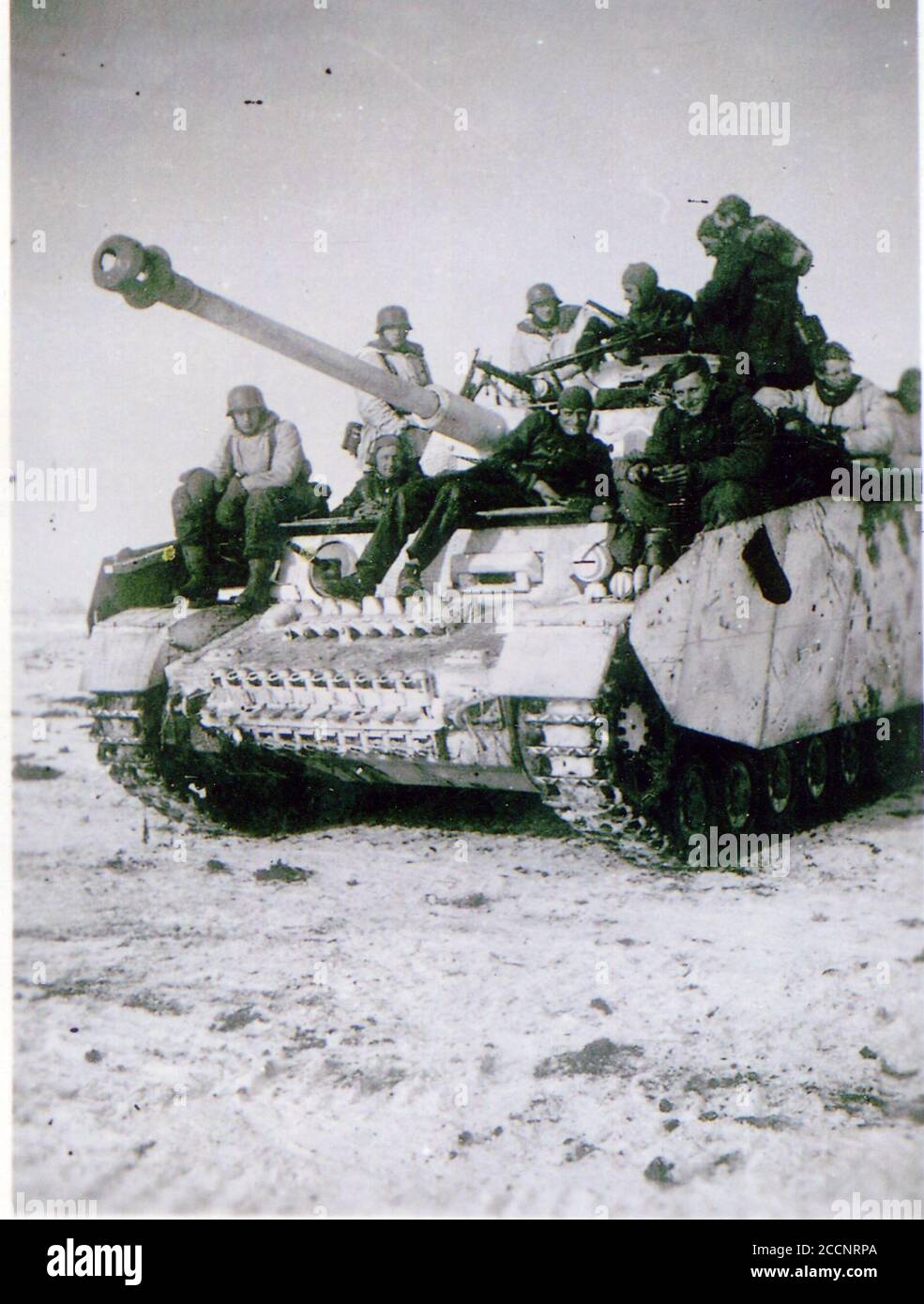 German 1st Ss Panzer Division High Resolution Stock Photography and ...