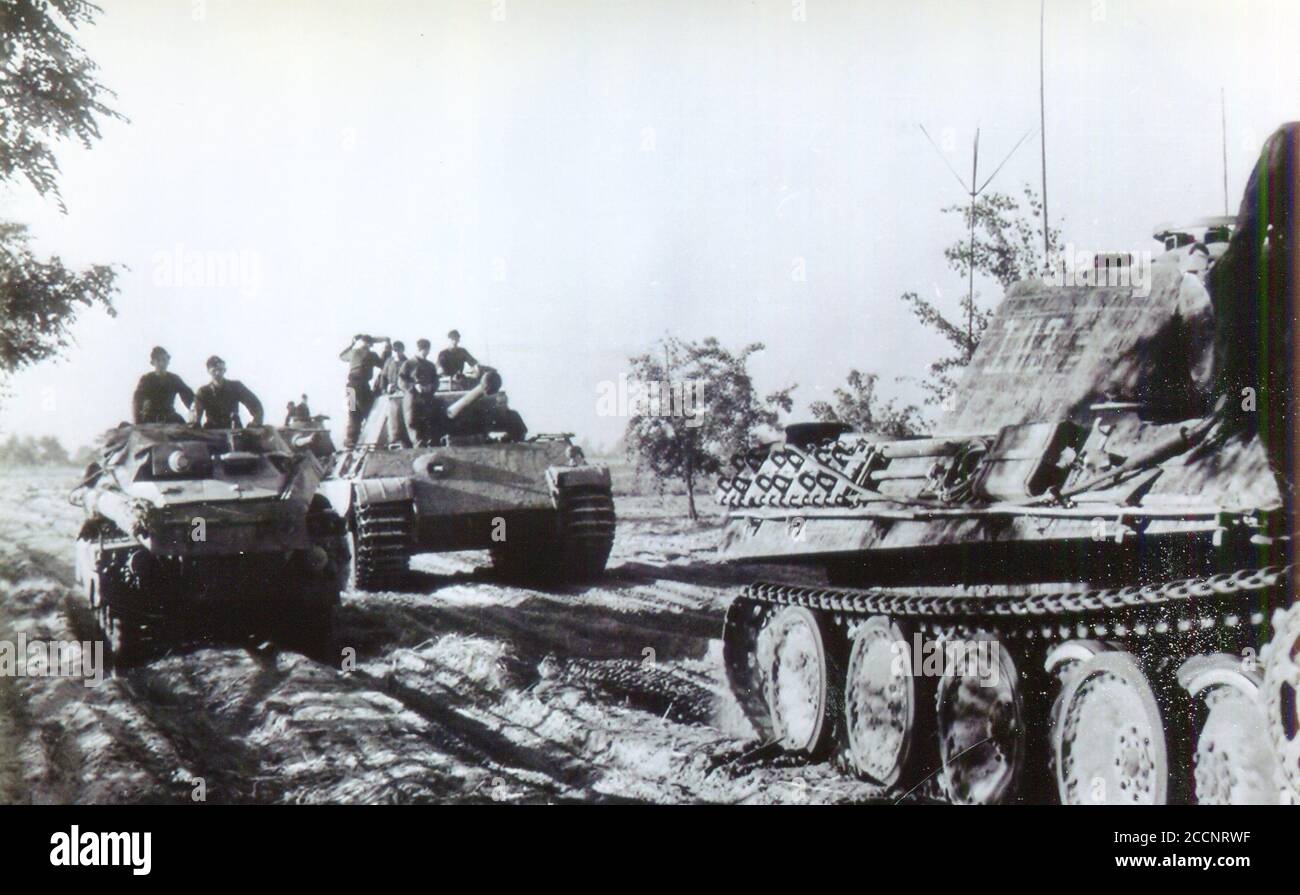 5th Ss Panzer Division Wiking High Resolution Stock Photography and ...