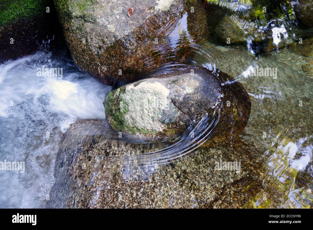 Perfectly clear water flowing over rocks in a rainforest stream at ...