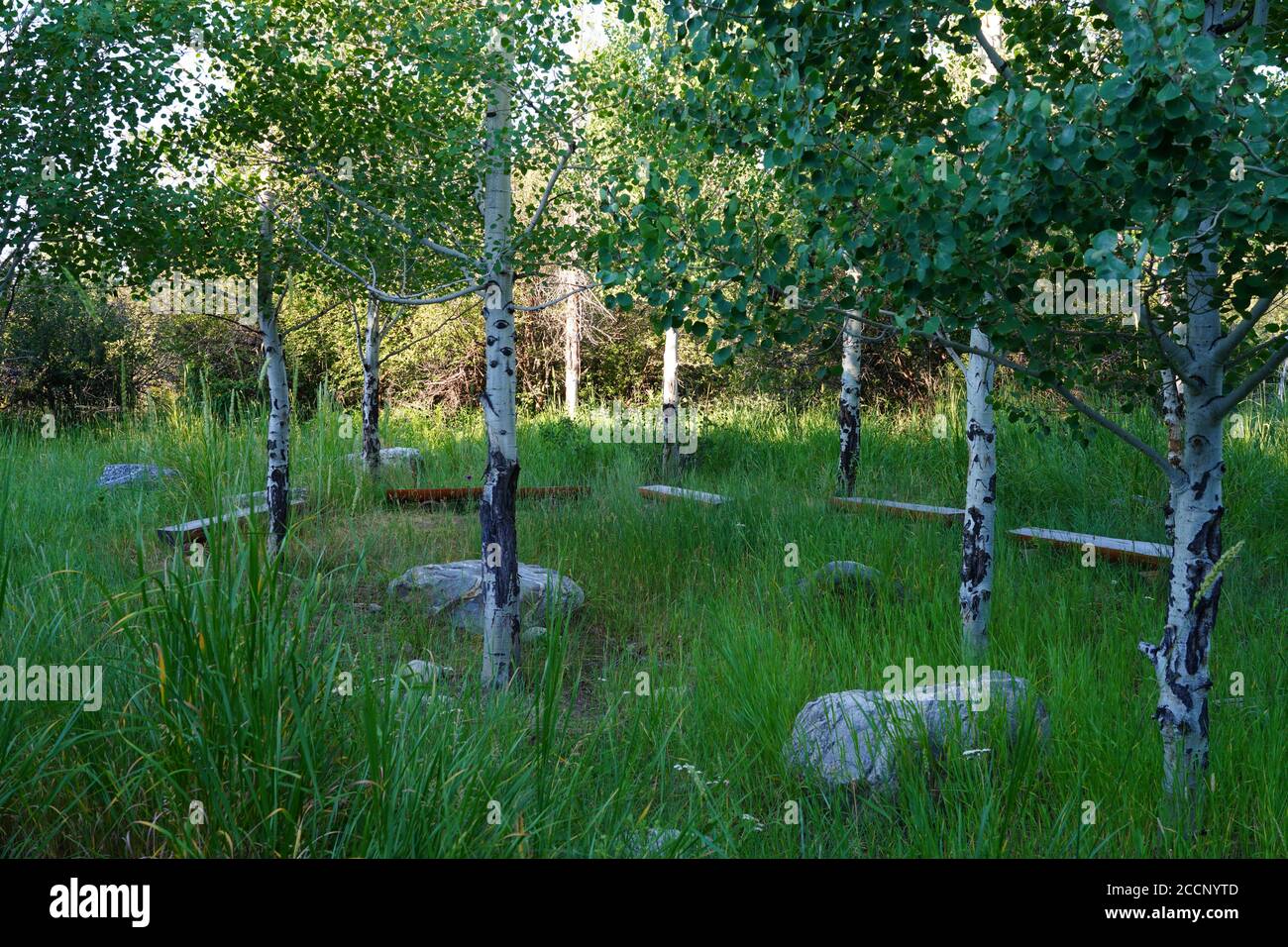 JACKSON HOLE, WY –2 AUG 2020- View of the Laurance S. Rockefeller ...