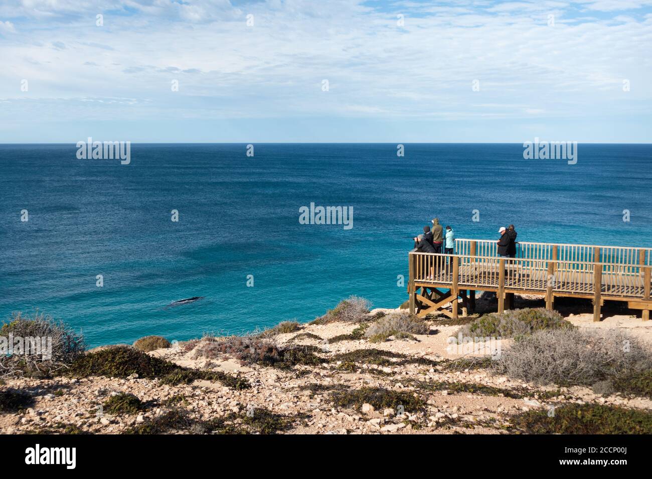 People watching whales migration from an observation platform at the ...