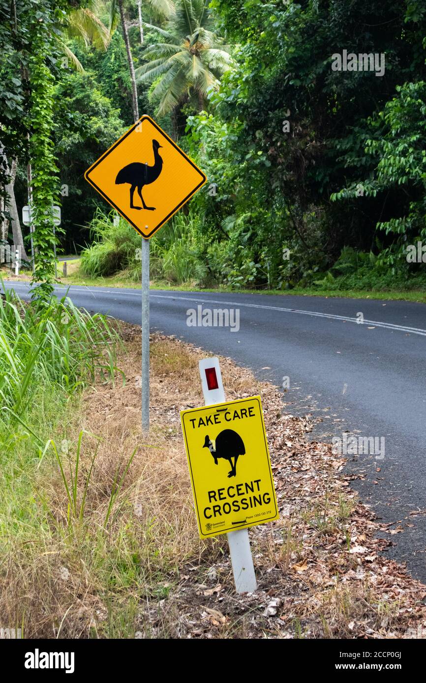 Yellow signs announcing free cassowaries in the area with black ...