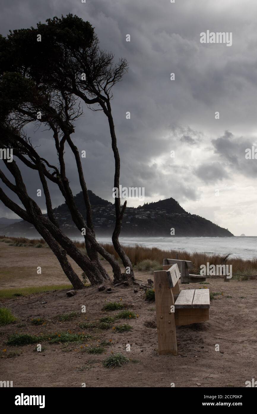 seat with tree and view of the ocean and island Stock Photo - Alamy
