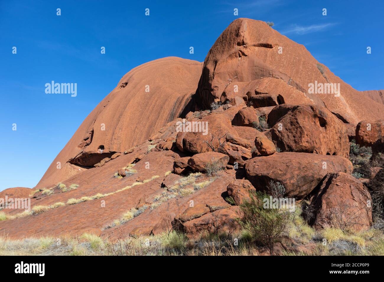 Close up picture of mountain wall with stones, rocks and vegetation ...