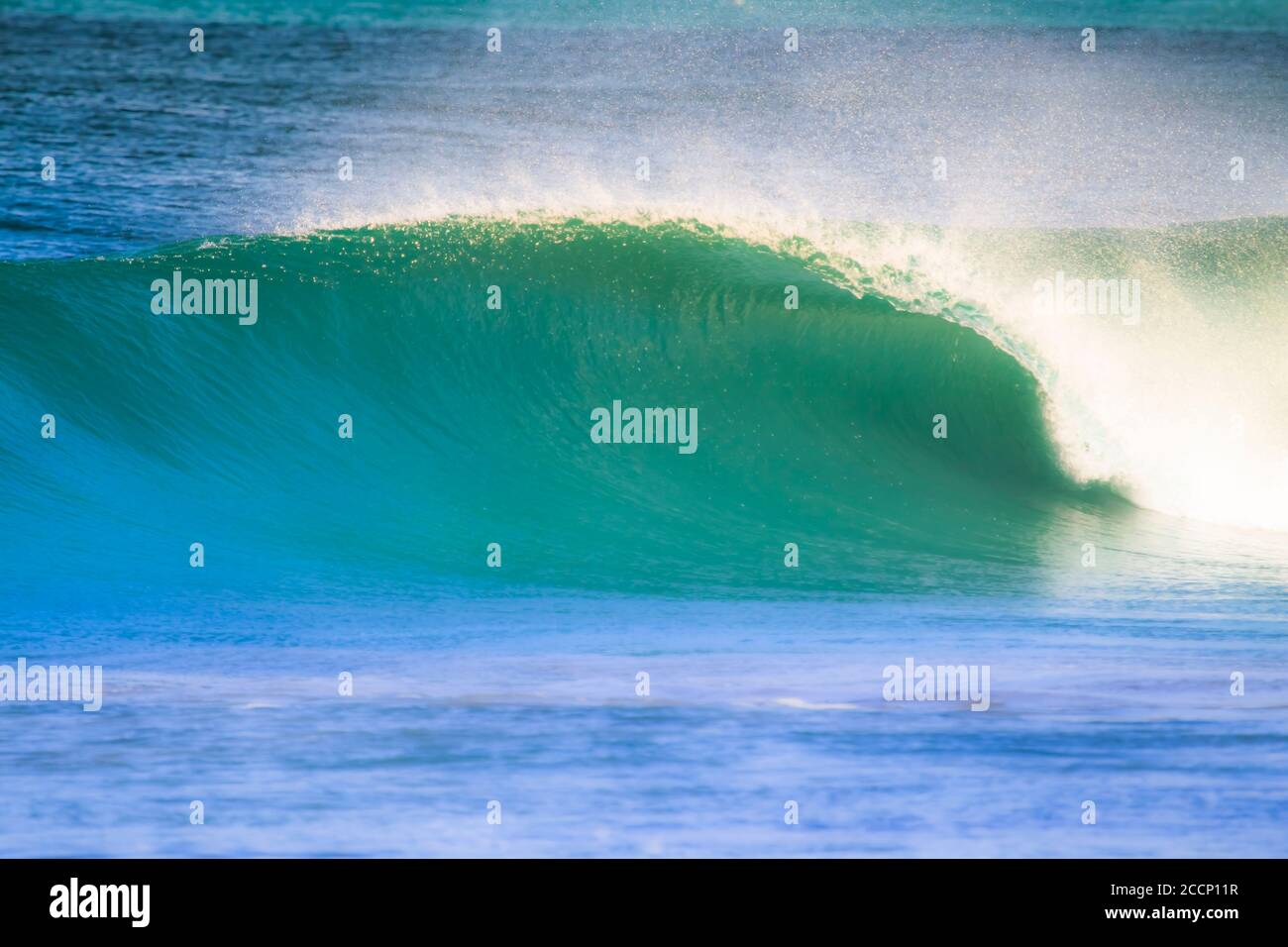 Perfect breaking wave Stock Photo - Alamy
