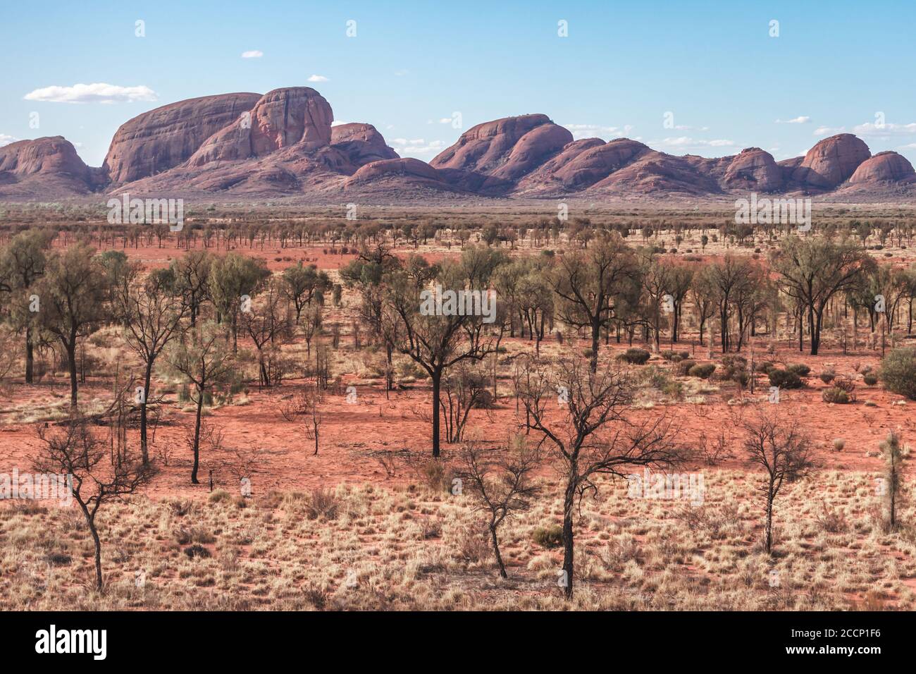 Unusual panoramic view of Mount Kata Tjuta - The Olgas. Several rocky ...