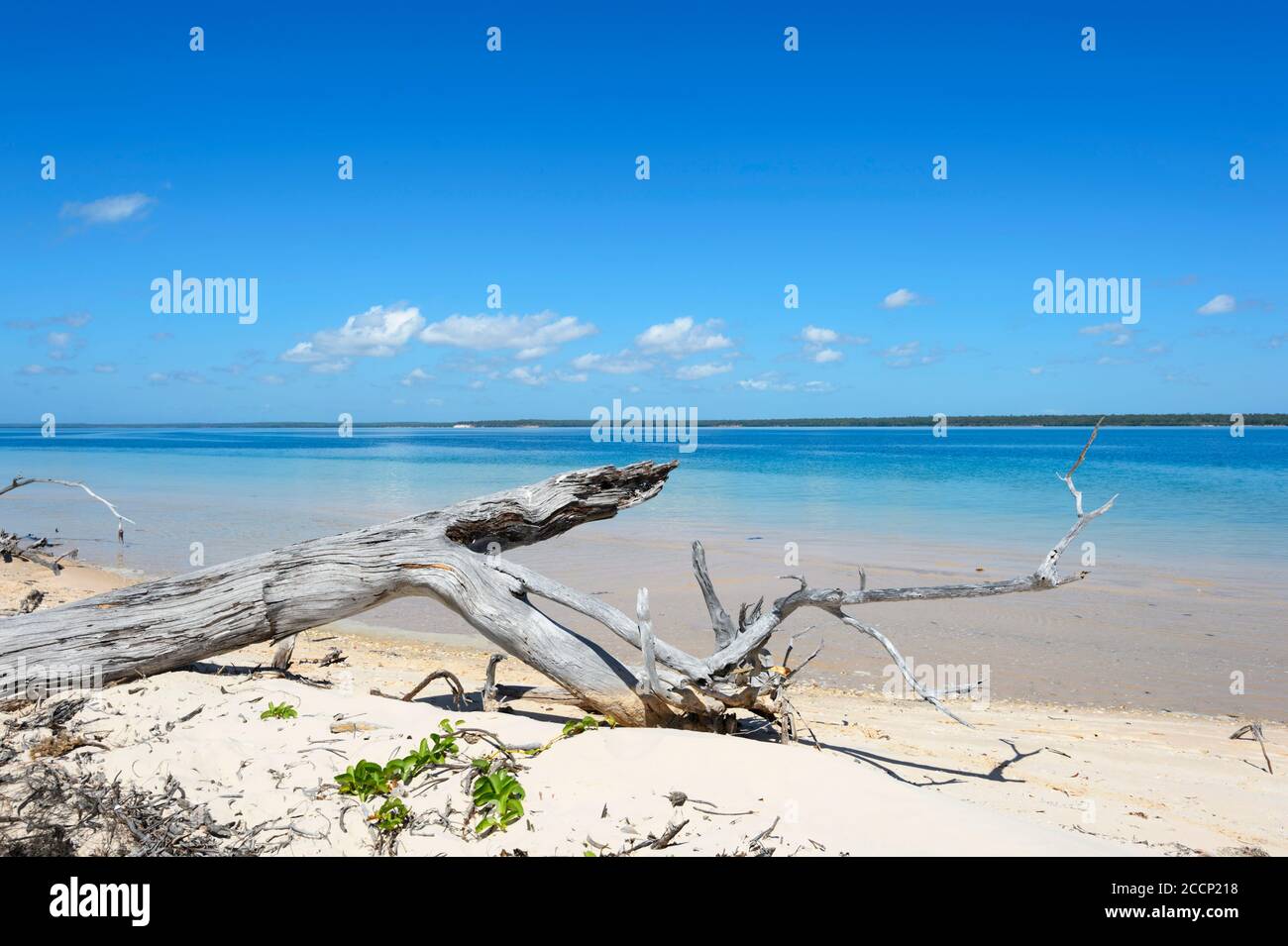 Remote deserted beach with turquoise waters in Garig Gunak Barlu ...