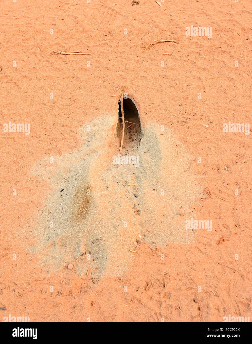 Garig gunak barlu national park hi-res stock photography and images - Alamy