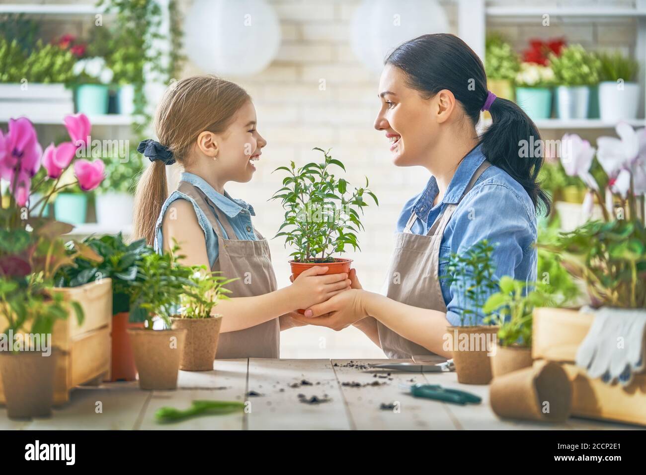 Cute child girl helping her mother to care for plants. Mom and her ...