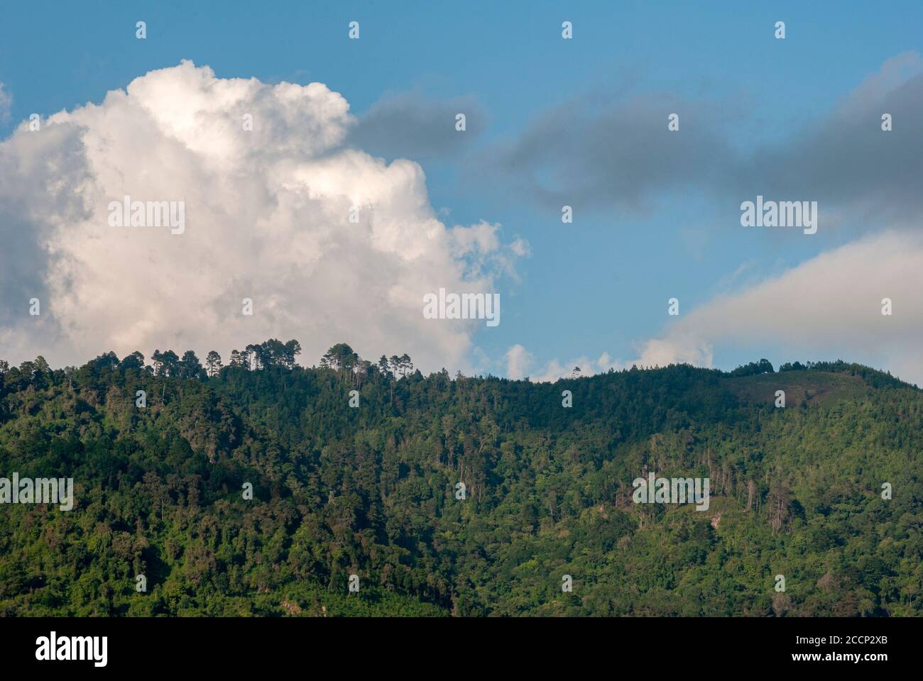 Mountains in Guatemala full of trees and green space, a natural reserve ...