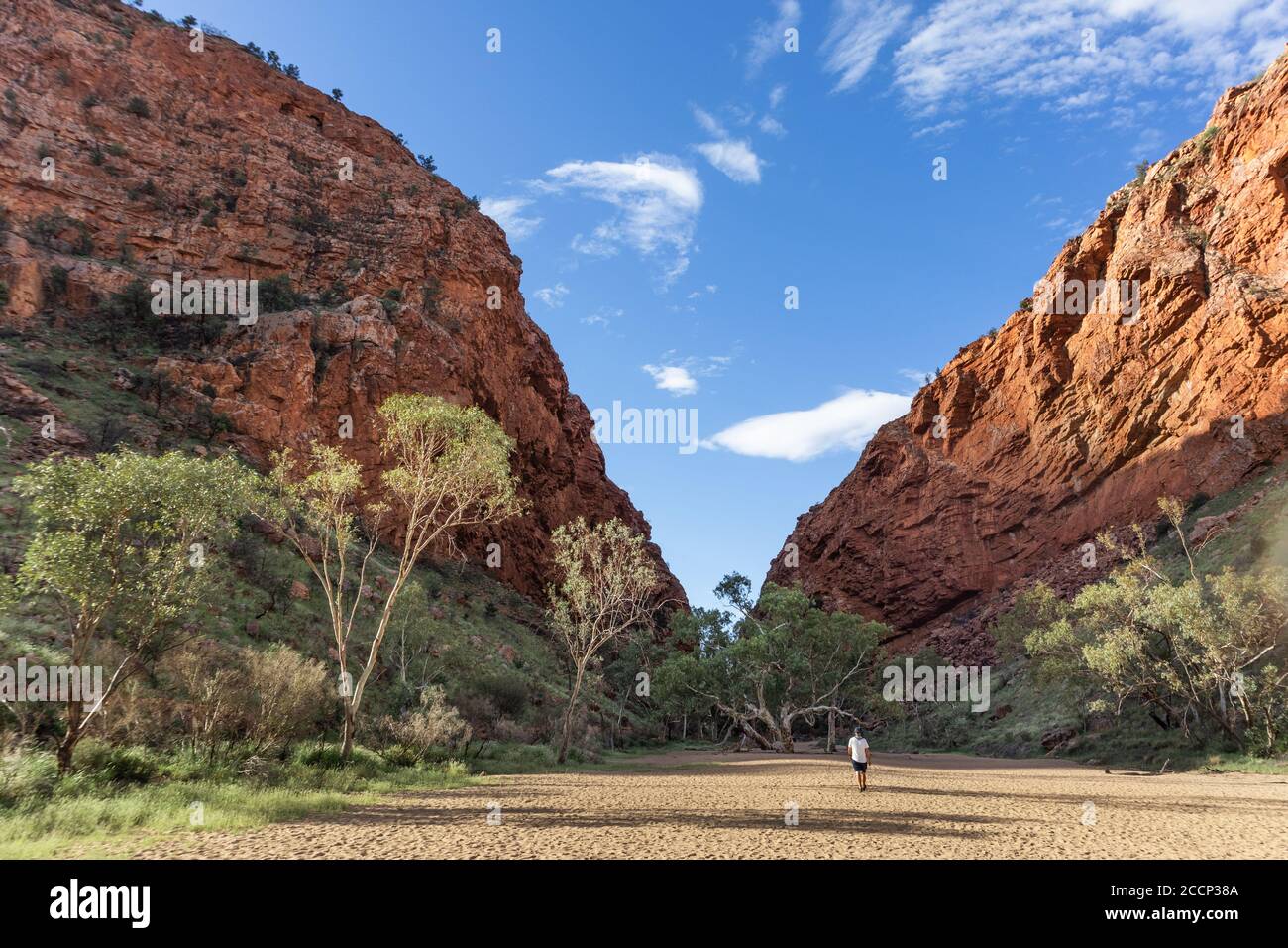 Man walking at a gorge. Rocky walls on the sides. Green vegetation, dry ...