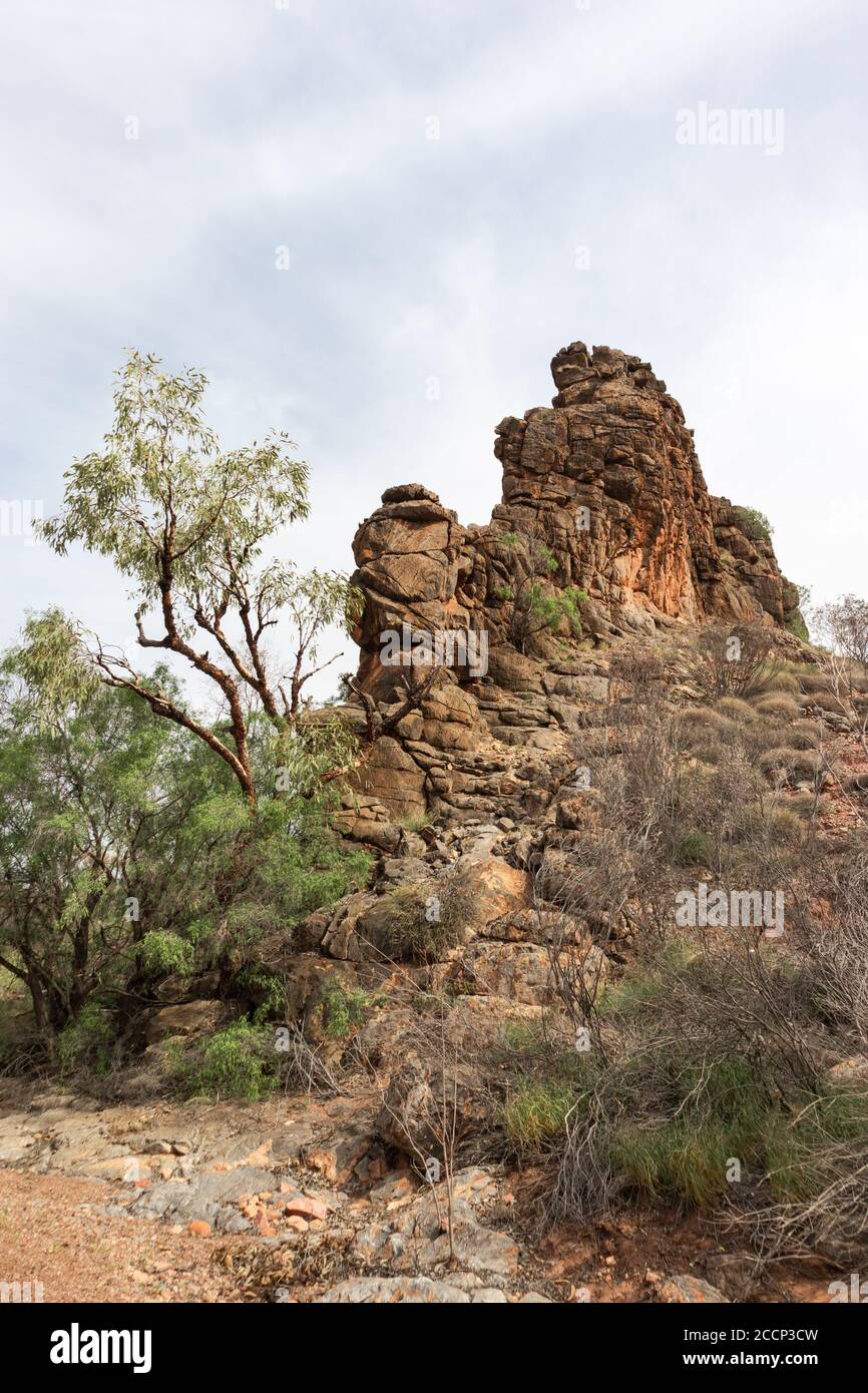 Corroboree rock: sacred Australian aboriginal rock, near Alice Springs ...